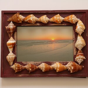 Seashell Photo Frame, Shell Picture Frame, Beach Decor, Beach Frame ...