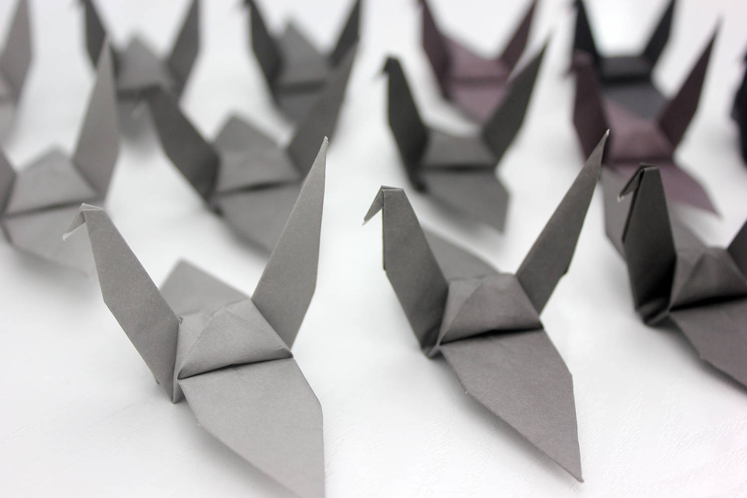 1000 Gray Origami Crane Large Paper Bird Grey Shades Color Cranes for ...