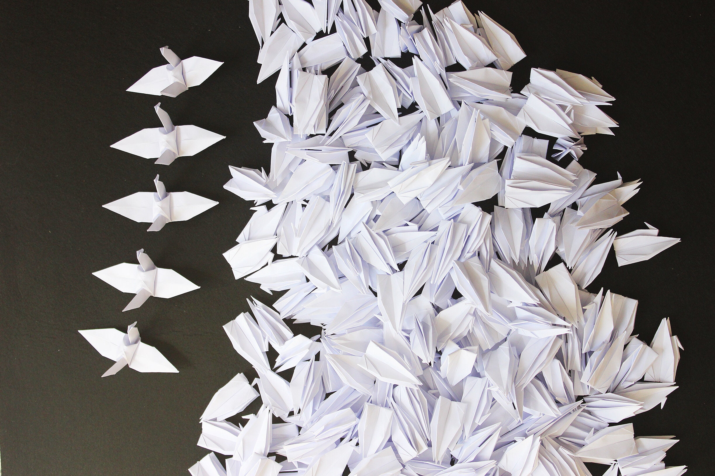 Sale 1000 Origami Paper Cranes Pure White Cranes Bird for Wall Art ...