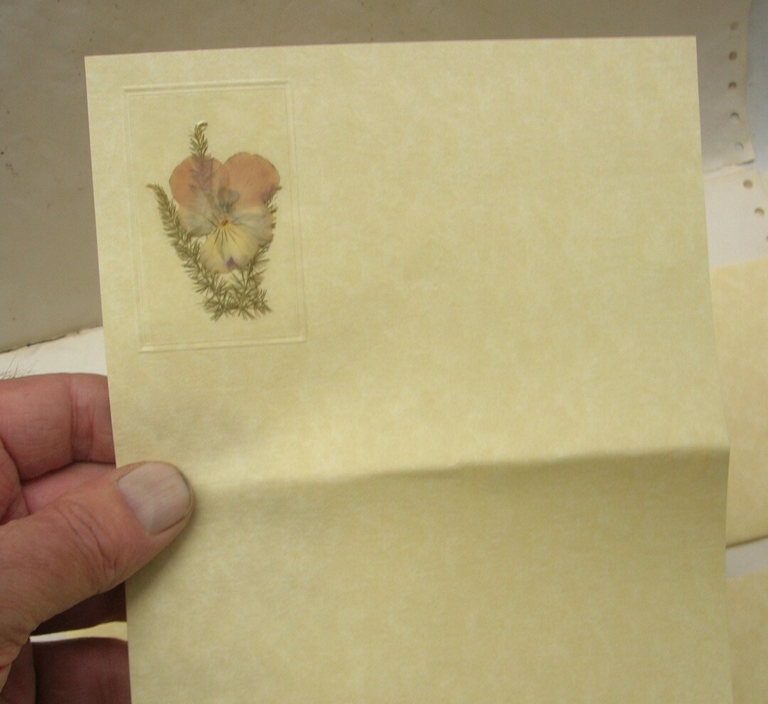 Set of 5 Vintage Notelets With Real English Pressed Flowers 5 Envelopes ...