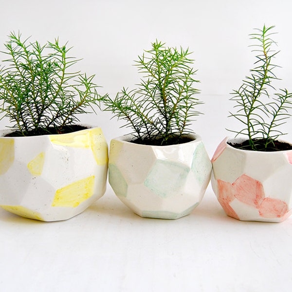 Decorated Pot - Etsy