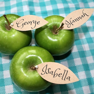 Beautifully Simple, Elegant, Rustic, Modern, Kraft, Apple Leaf Place ...