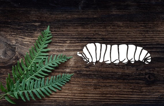 Caterpillar Decal Insect Vinyl Decal for Bumper Sticker - Etsy