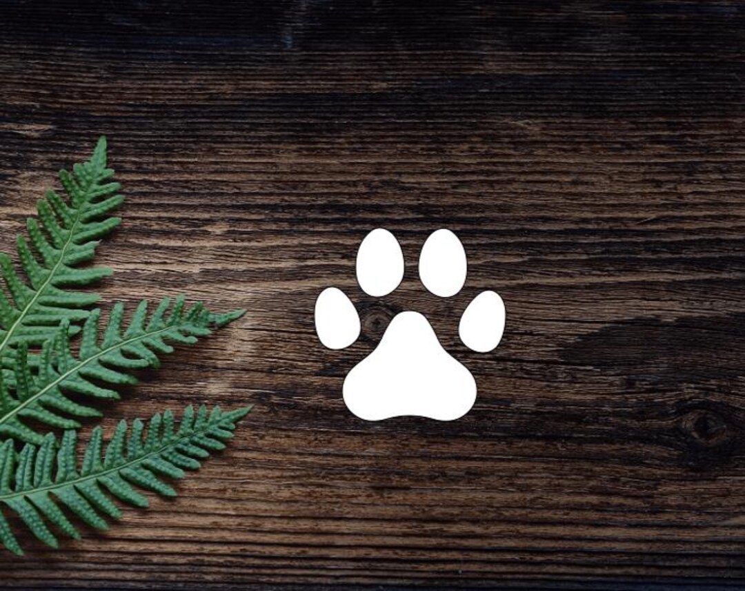 Vinyl Paw Pad Decal Paw Print Vinyl Decal for Water Bottle Sticker Cup ...