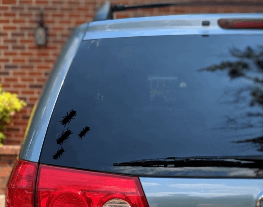 Ants Decal Bugs Vinyl Halloween Decal for Water Bottle Sticker - Etsy