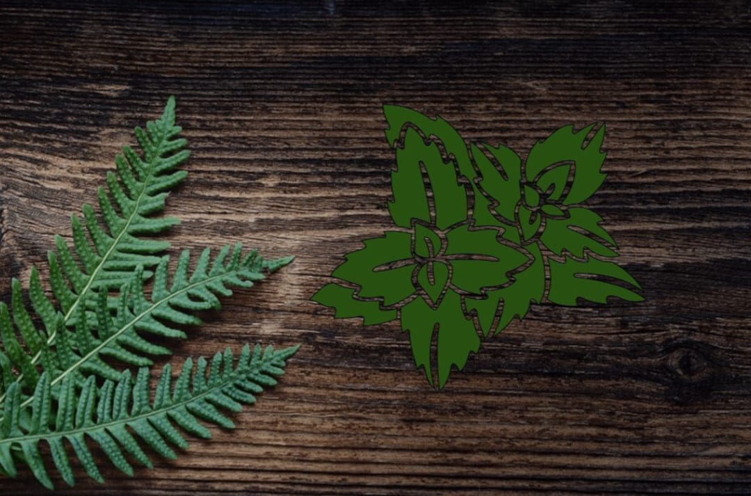 Vinyl Mint Decal for Water Bottle Plant Sticker Cup Sticker Laptop ...