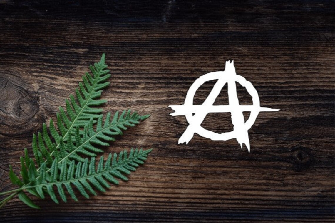 Vinyl Anarchy Decal for Water Bottle Anarchy Sticker Cup | Etsy