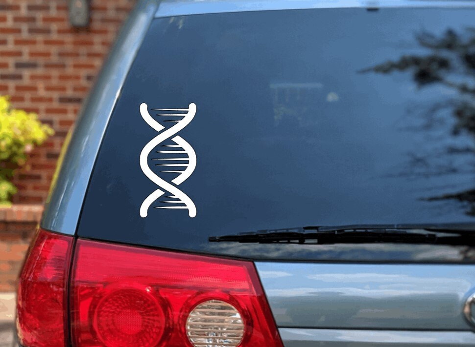DNA Vinyl Decal for Tumbler Cup, Laptop, Car Decal for Science Decal - Etsy