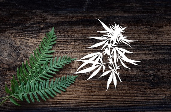 Vinyl Marijuana Decal Weed Decal Water Bottle Stoner Sticker | Etsy