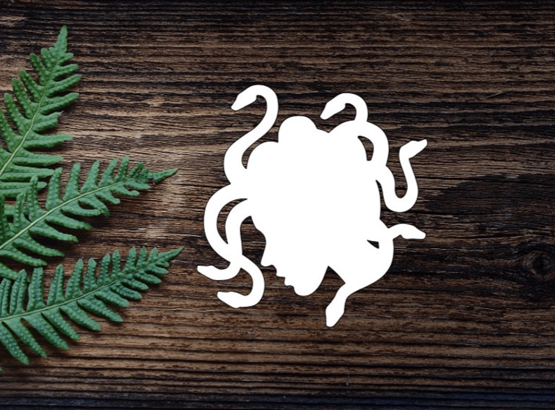 Medusa Vinyl Decal for Water Bottle Sticker Cup Sticker Laptop Decal ...