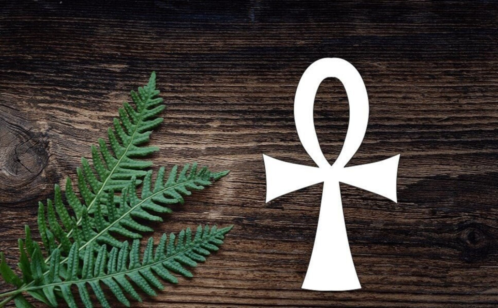 Vinyl Ankh Decal for Water Bottle Ankh Sticker Cup Sticker - Etsy