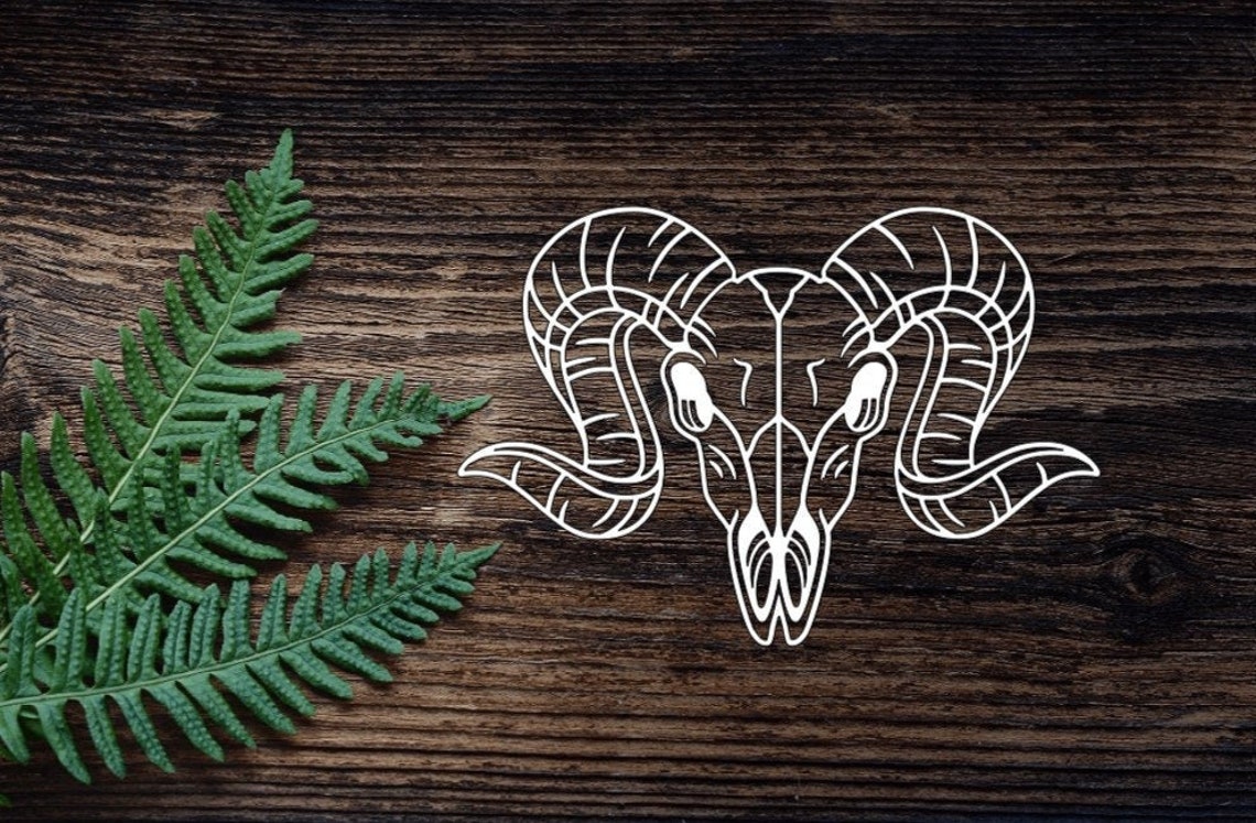 Vinyl Ram Skull Decal for Water Bottle Ram Skull Sticker Cup - Etsy