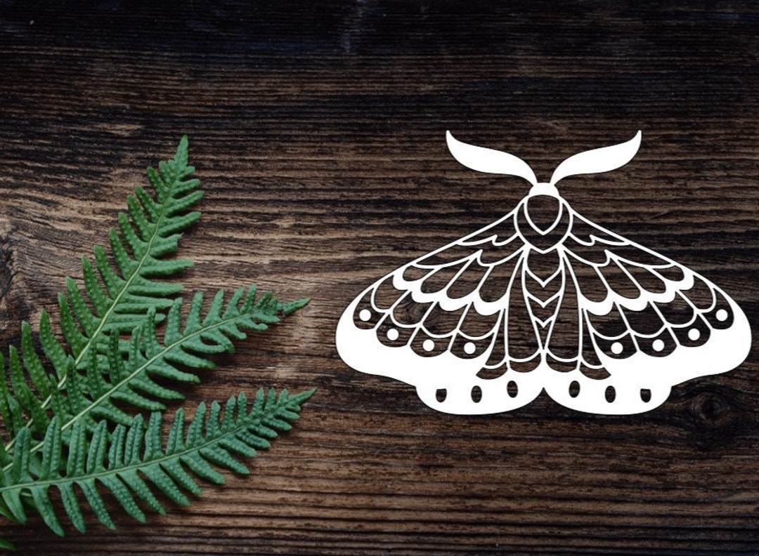 Vinyl Moth Decal for Water Bottle Moth Sticker Cup Sticker Laptop Decal ...