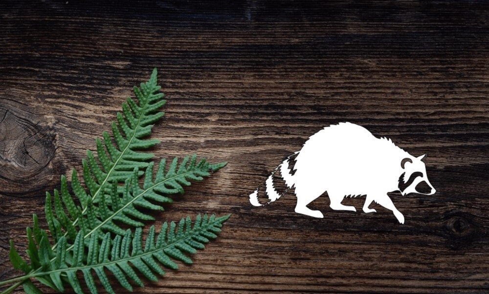 Raccoon Vinyl Decal for Bumper Sticker Laptop Tumbler Cup - Etsy