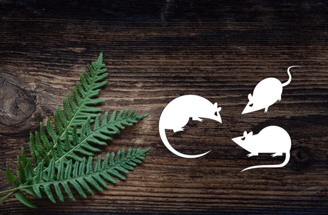 Three Rats Vinyl Decal for Water Bottle Rodents Sticker Cup Sticker ...