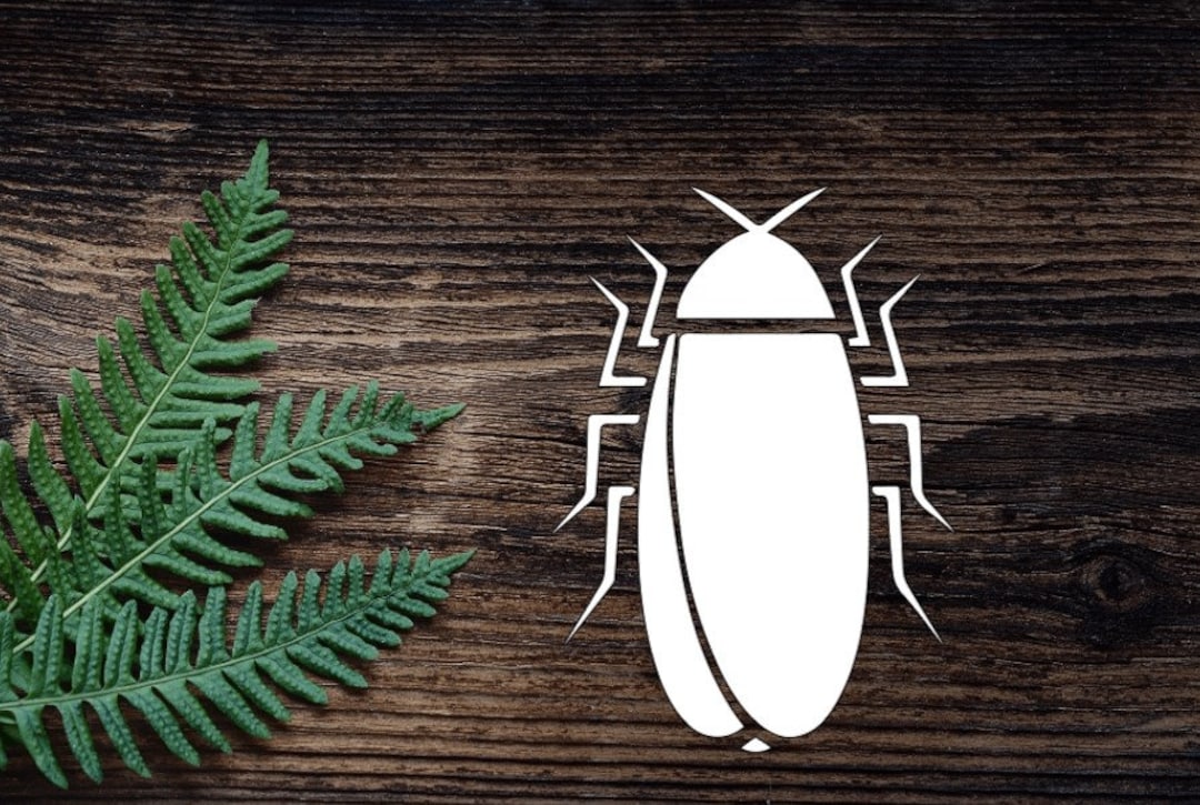 Cockroach Decal Bugs Vinyl Halloween Decal for Water Bottle Sticker Cup ...