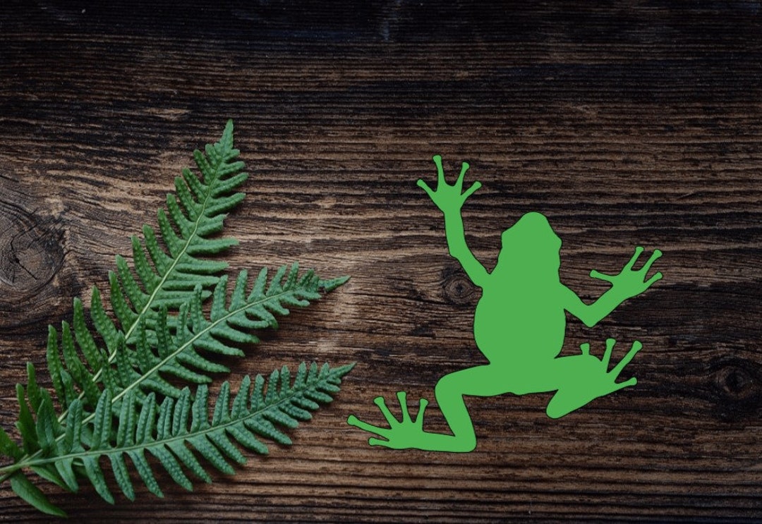 Vinyl Frog Decal for Water Bottle Frog Sticker Cup Sticker Laptop Decal ...