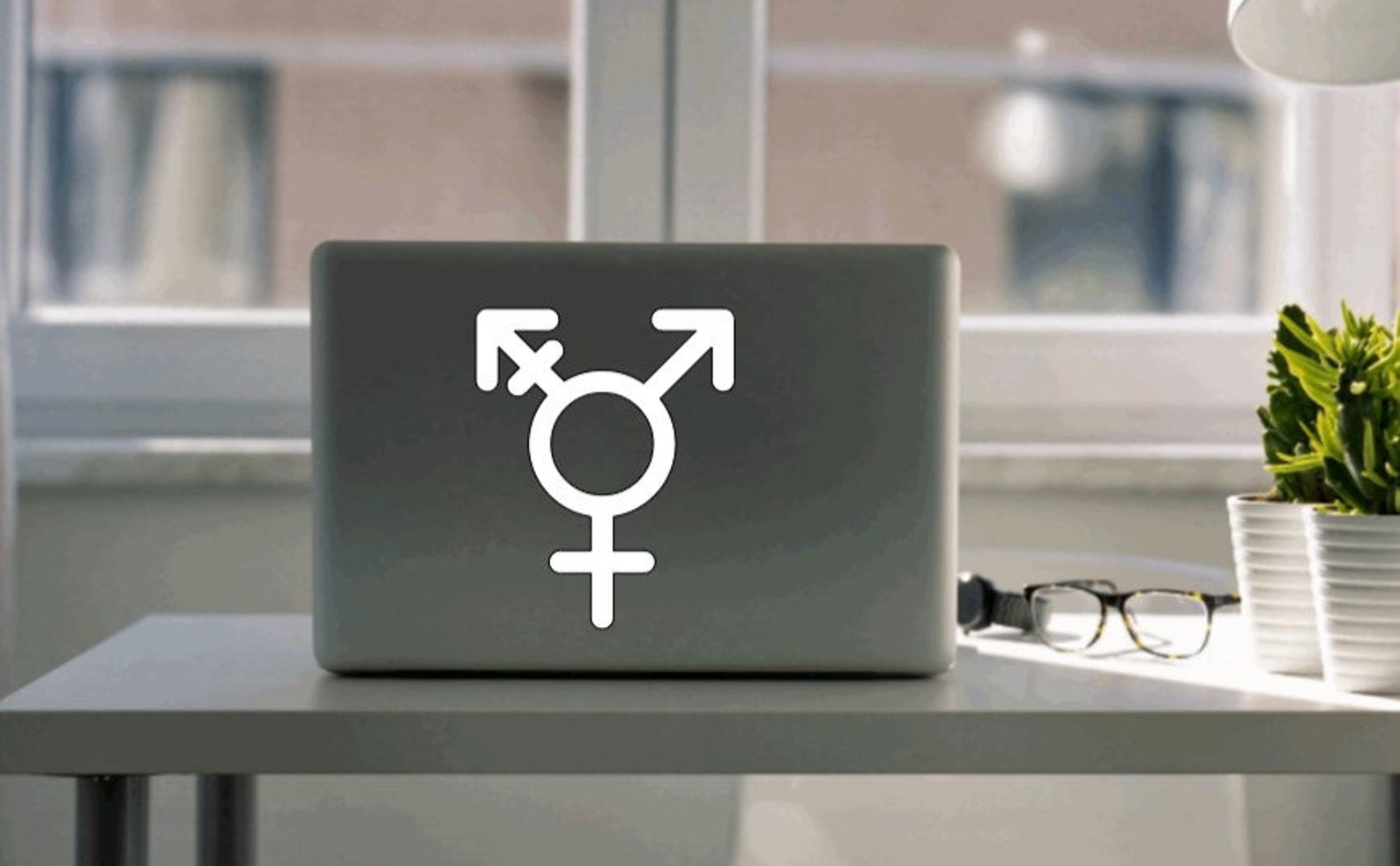 Vinyl Trans Symbol Decal for Water Bottle Trans Sticker Cup - Etsy