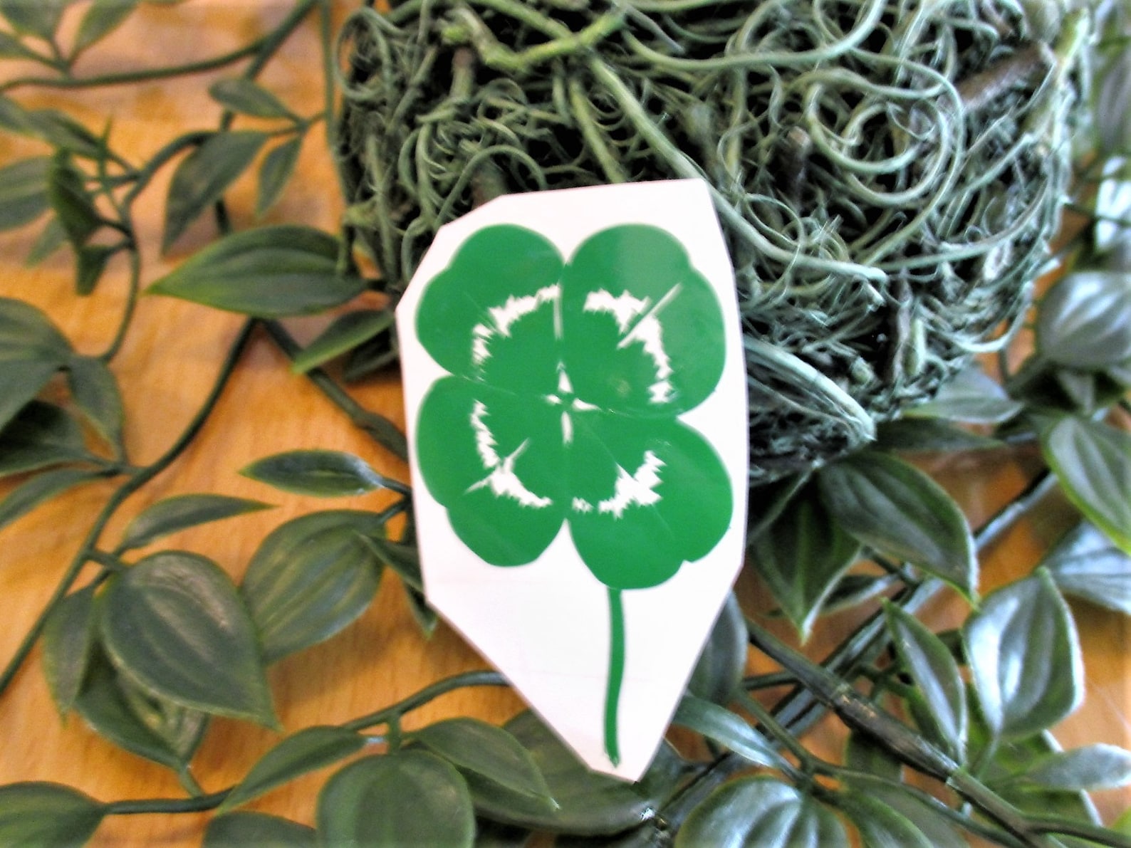 Four Leaf Clover Vinyl Decal for Water Bottle Herbalist | Etsy