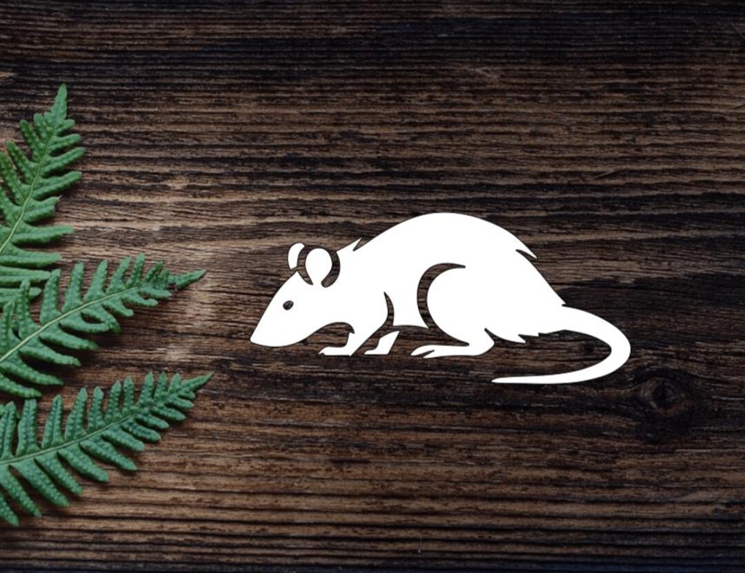 Vinyl Rat Decal for Water Bottle Rat Sticker Cup Sticker Laptop Decal ...