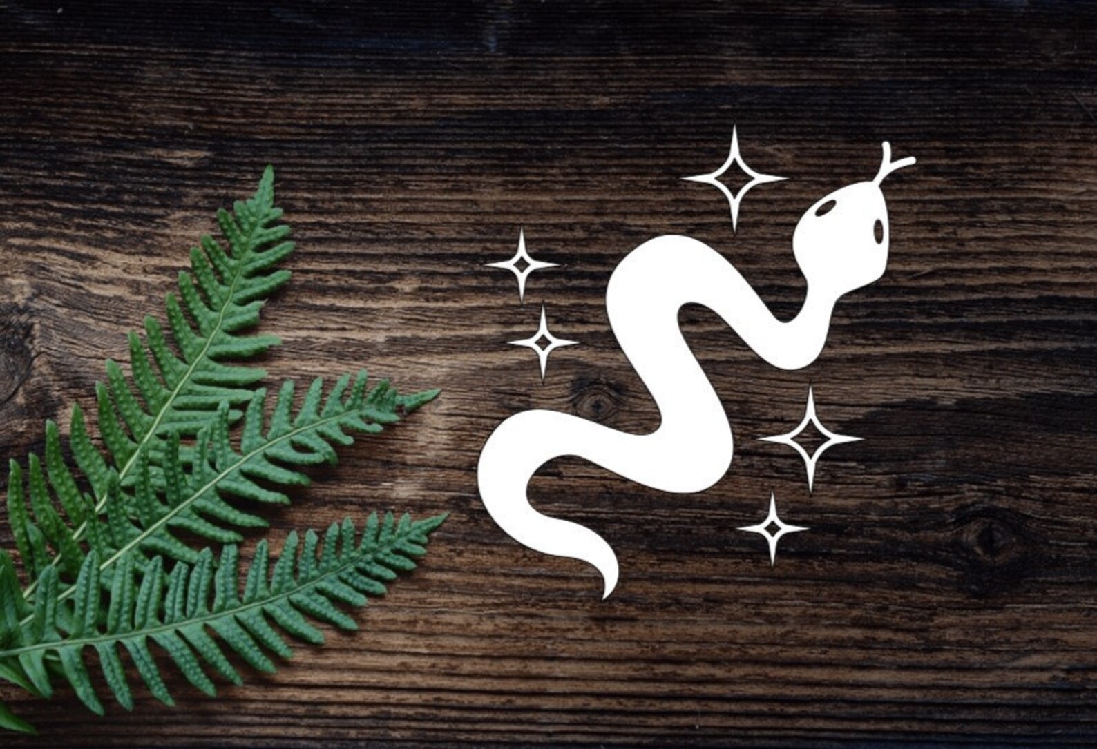 Snake Vinyl Decal For Bumper Sticker Laptop Tumbler Cup | Etsy