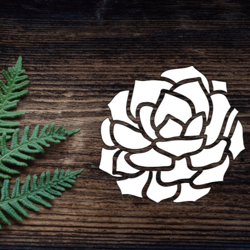 Succulent Decal - Etsy