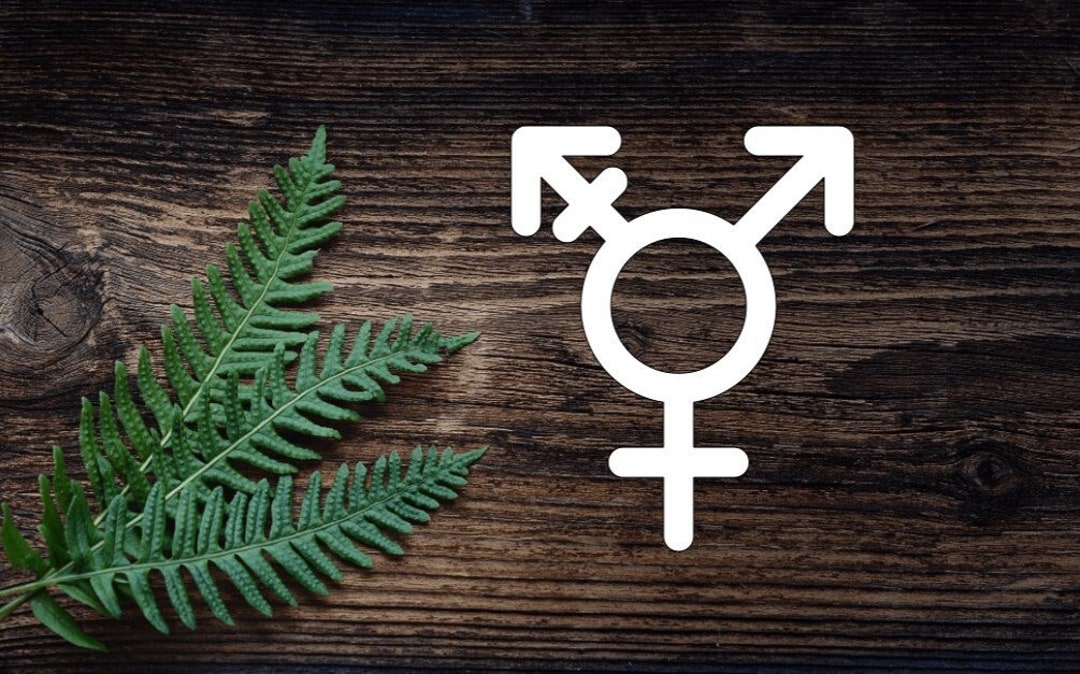 Vinyl Trans Symbol Decal for Water Bottle Trans Sticker Cup Sticker ...