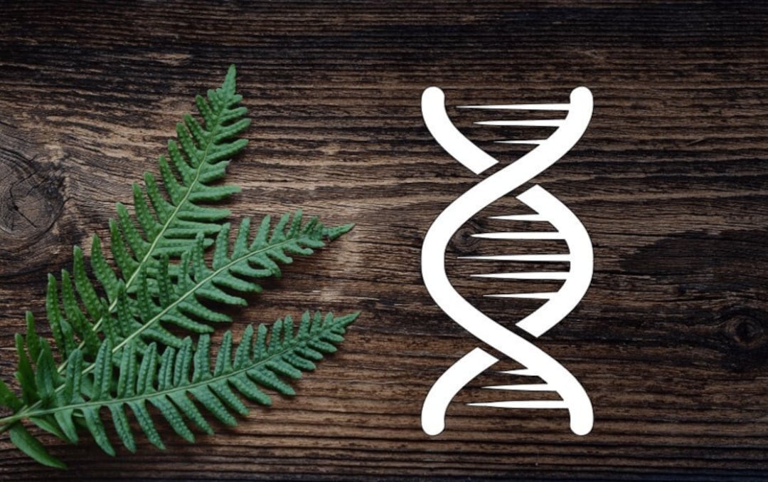 DNA Vinyl Decal for Tumbler Cup, Laptop, Car Decal for Science Decal - Etsy