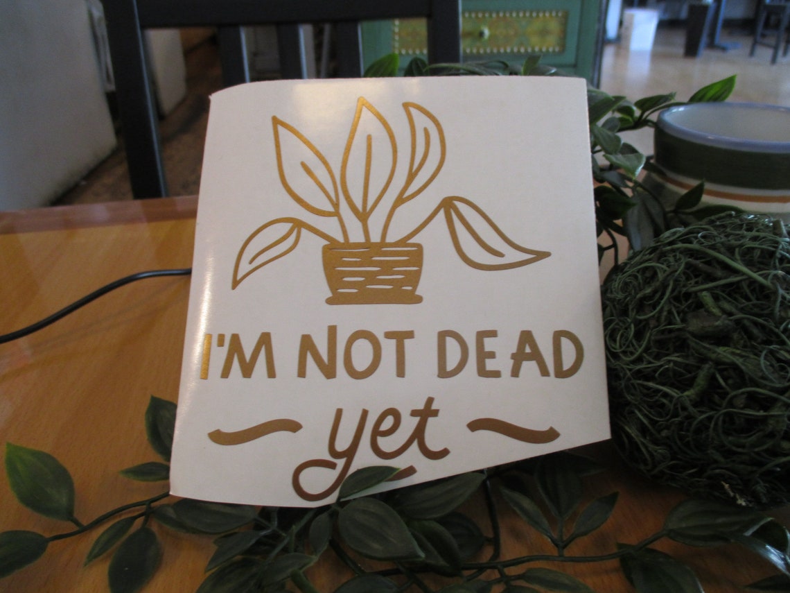 Vinyl I'm Not Dead yet Decal Inspirational Sticker Cup | Etsy