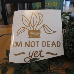 Vinyl I'm Not Dead yet Decal Inspirational Sticker Cup Sticker Laptop ...