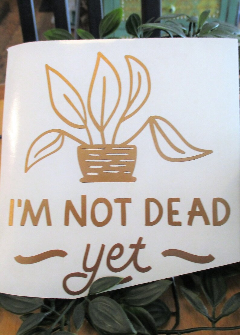 Vinyl I'm Not Dead yet Decal Inspirational Sticker Cup | Etsy