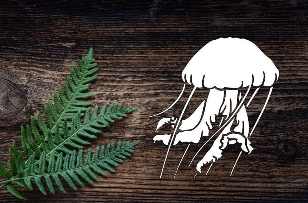 Jellyfish Decal Jellyfish Vinyl Decal for Bumper Sticker, Laptop, Cars ...