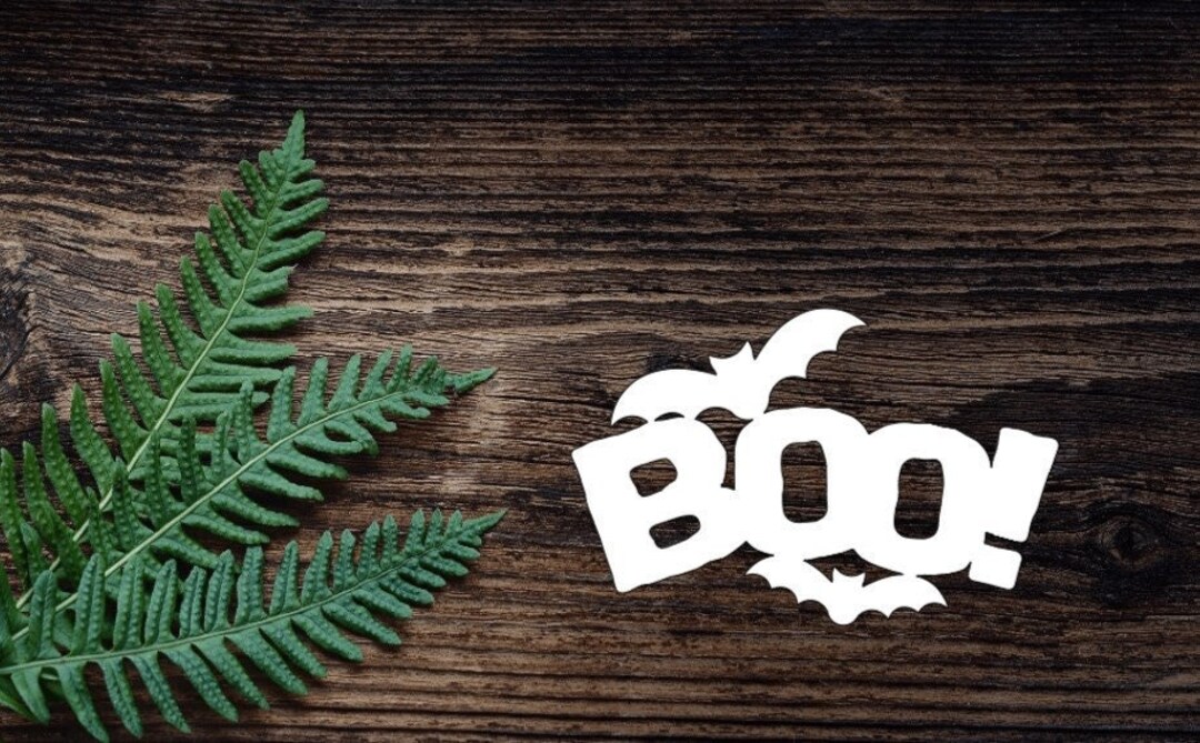 Vinyl Boo Decal Spider Decal for Water Bottle Cup Sticker Laptop Decal ...