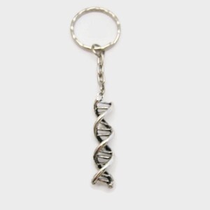 DNA Keychain, Science Keychain, Double Helix Keychain, Biology Keychain ...