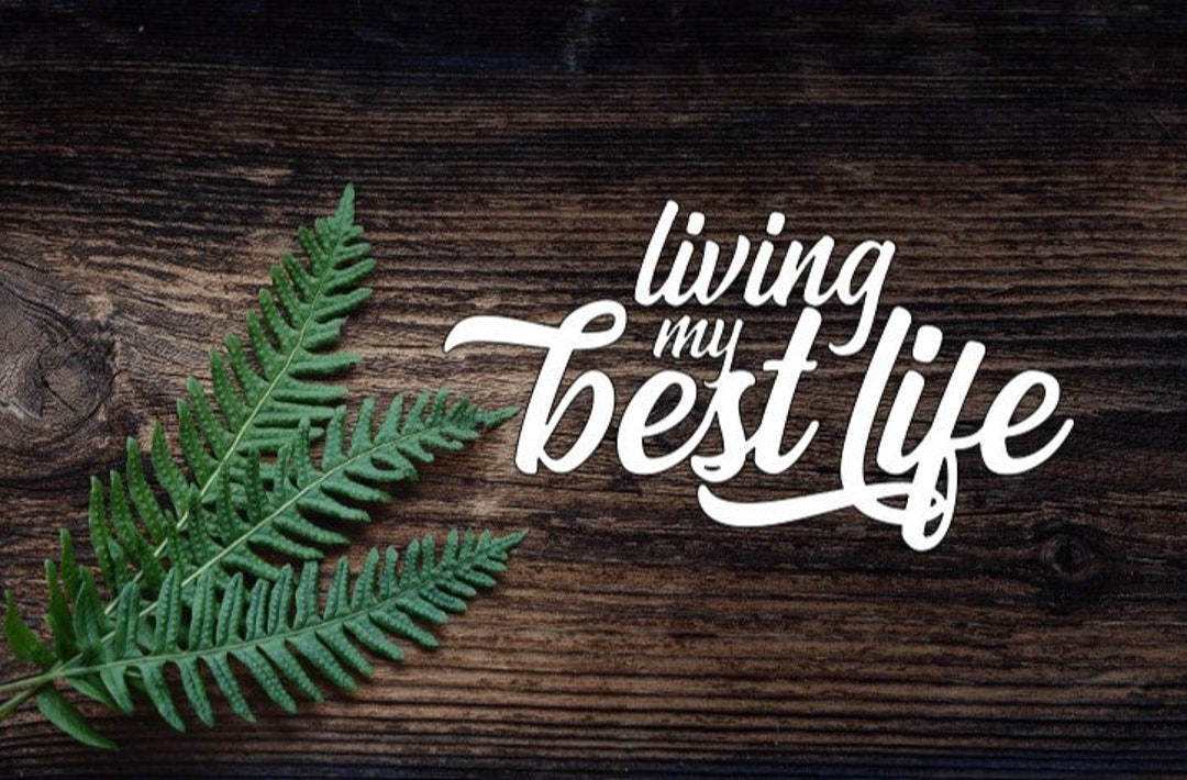 Vinyl Phrase Decal for Water Bottle Living My Best Life Sticker Cup ...