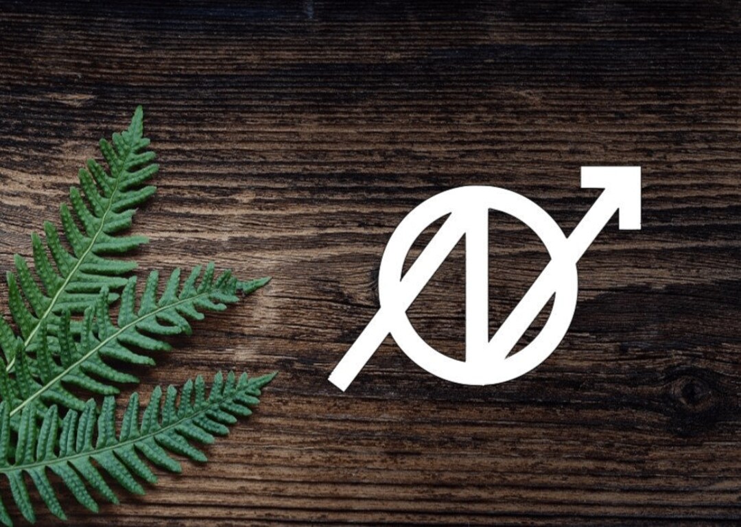 Vinyl Squatters Rights Decal for Tumbler Cup, Laptop, Car Pentagram ...