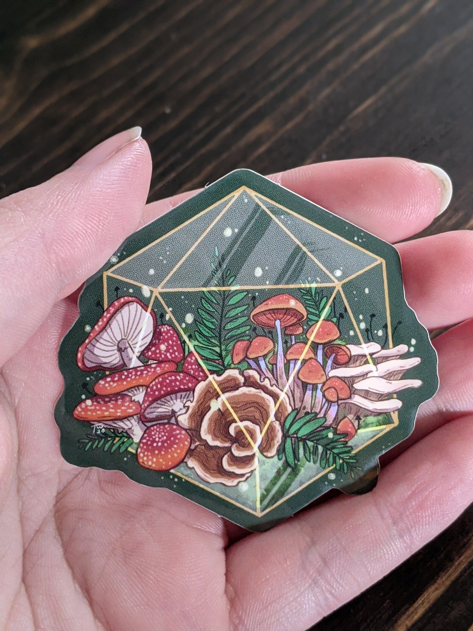 D20 Mushroom Terrarium Vinyl Sticker Dungeons and Dragons | Etsy