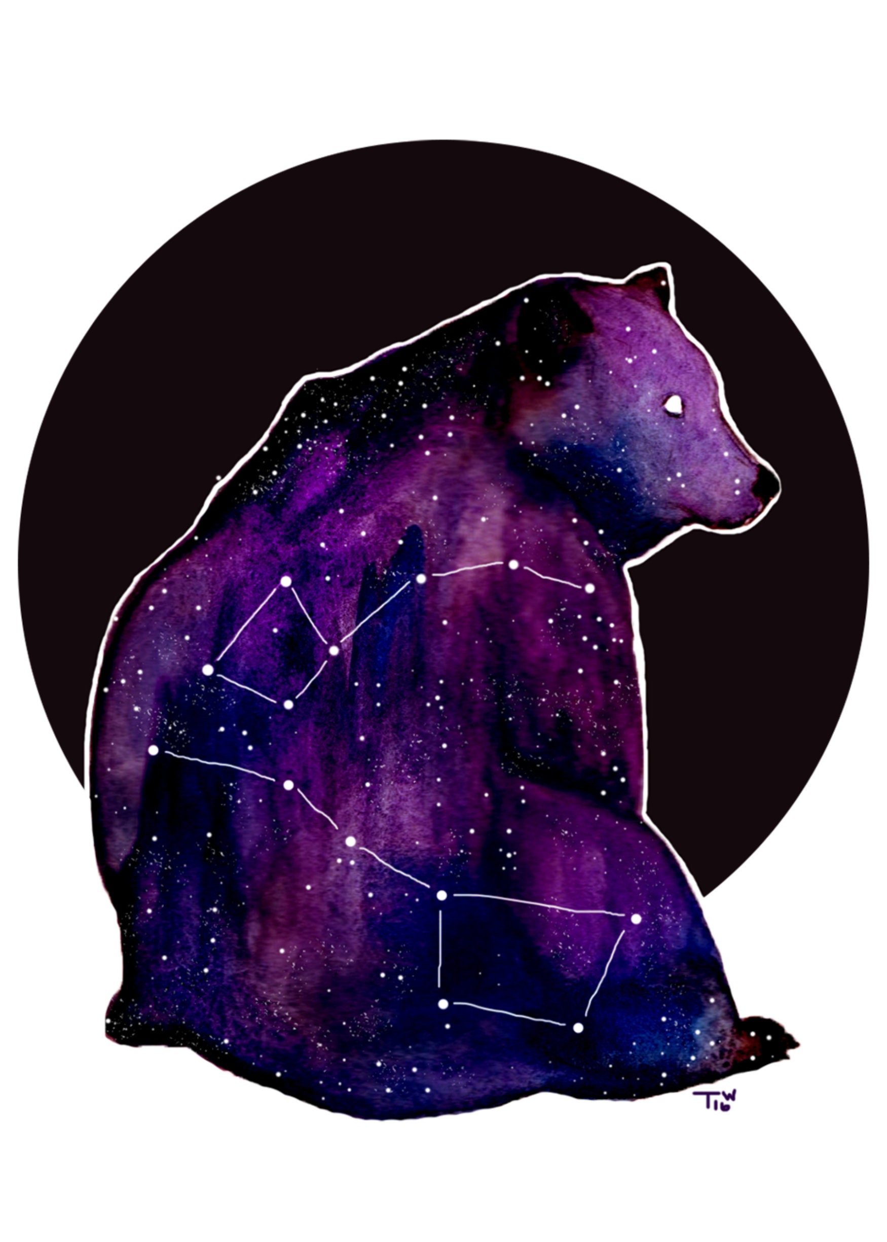 Ursa Major Bear