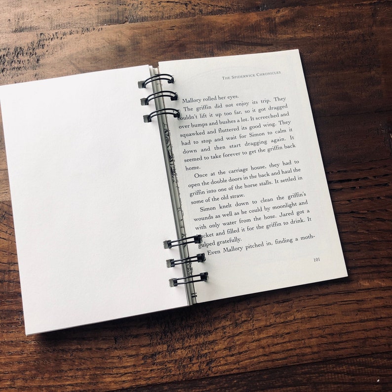 Spiderwick Chronicles Journal: Sketchbook Made From "seeing Stone ...