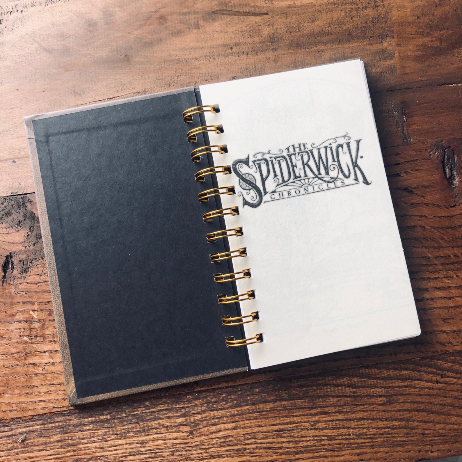Spiderwick Chronicles Lucinda's Secret Spiral Bound Book Cover Journal ...