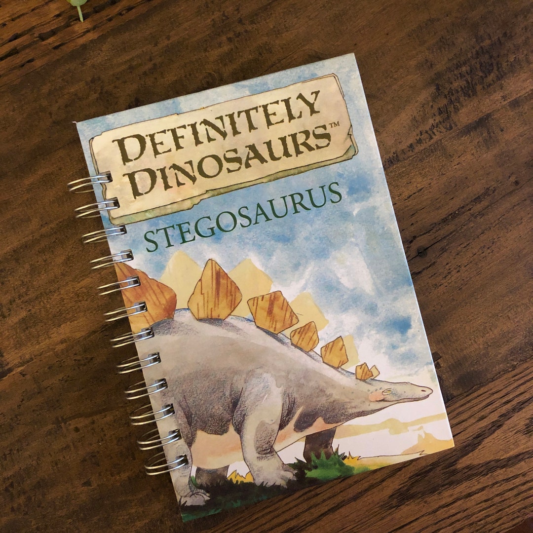 Stegosaurus Definitely Dinosaurs Spiral Bound Book Cover Sketchbook - Etsy