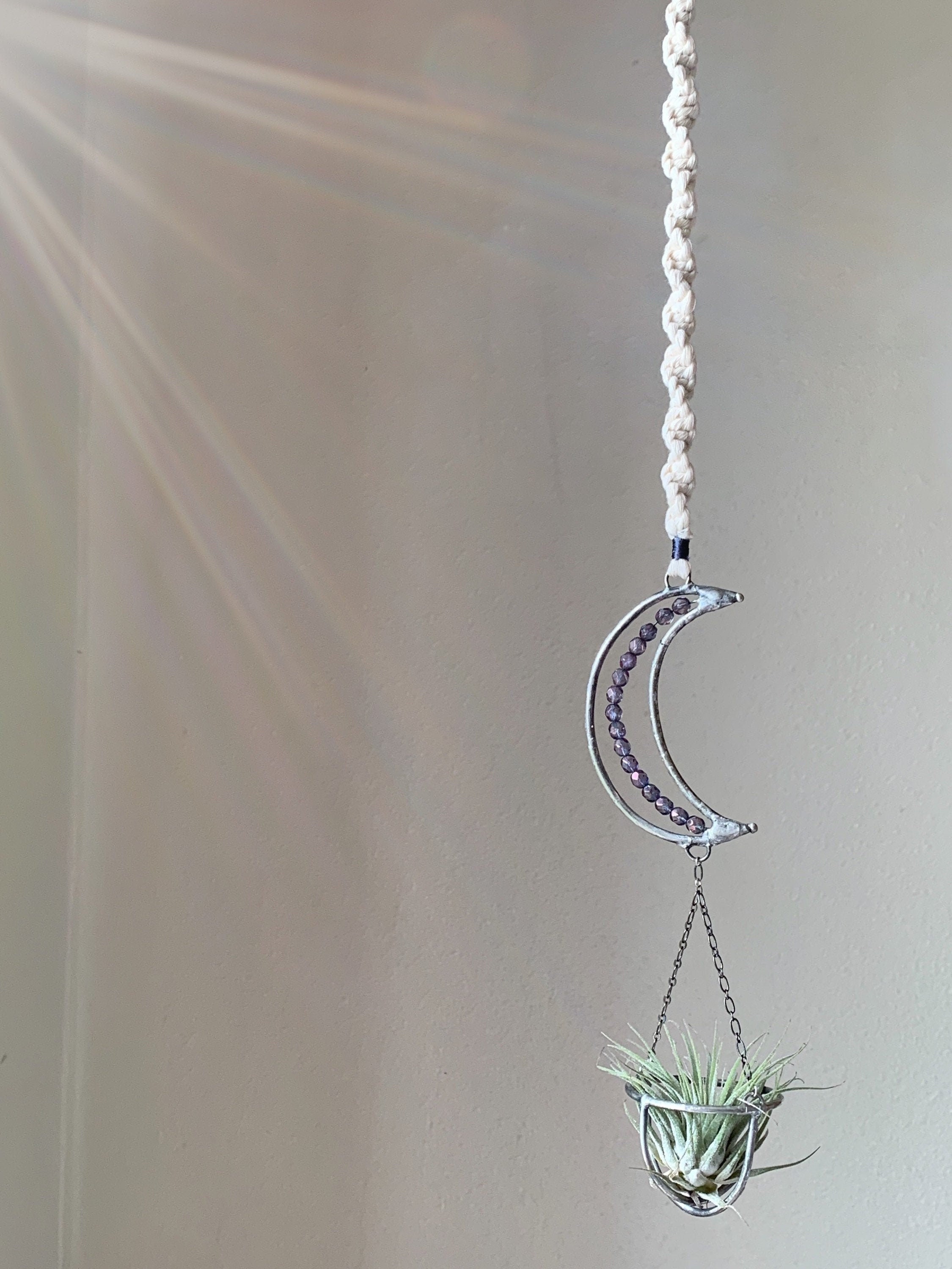 Crystal Crescent Moon Air Plant Hanger