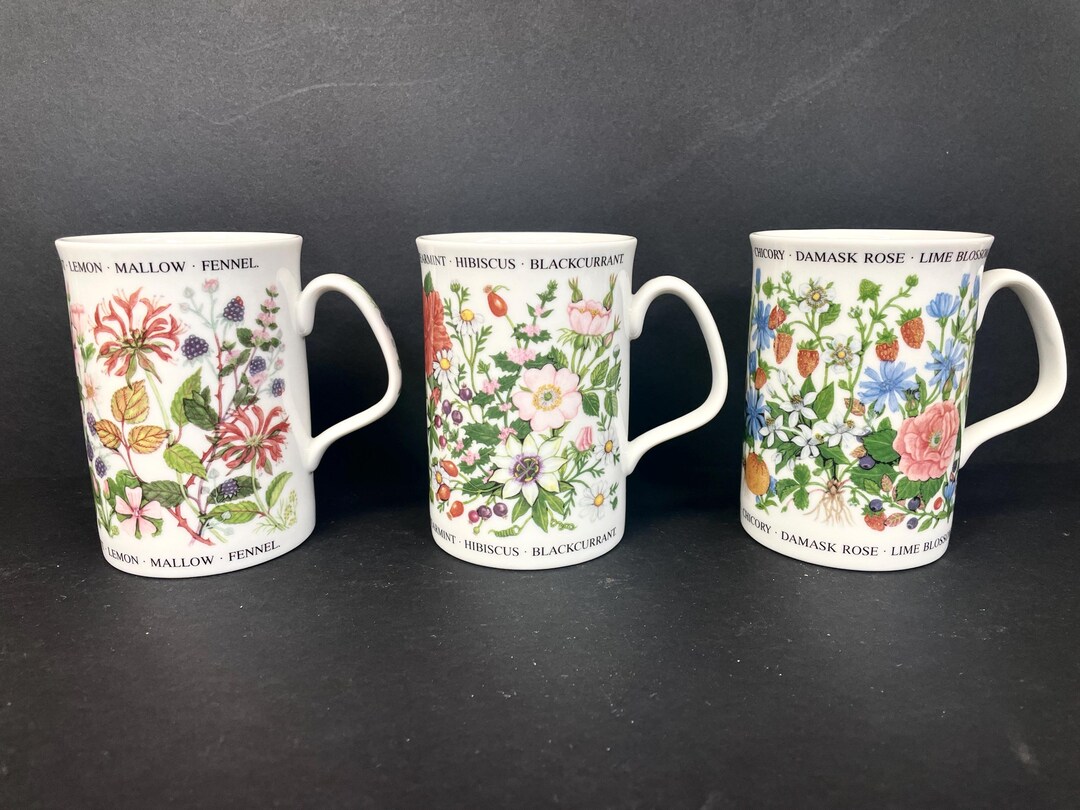 3 Erika Perry Expressions by Royal Doulton Herbal Teas Mugs - Etsy