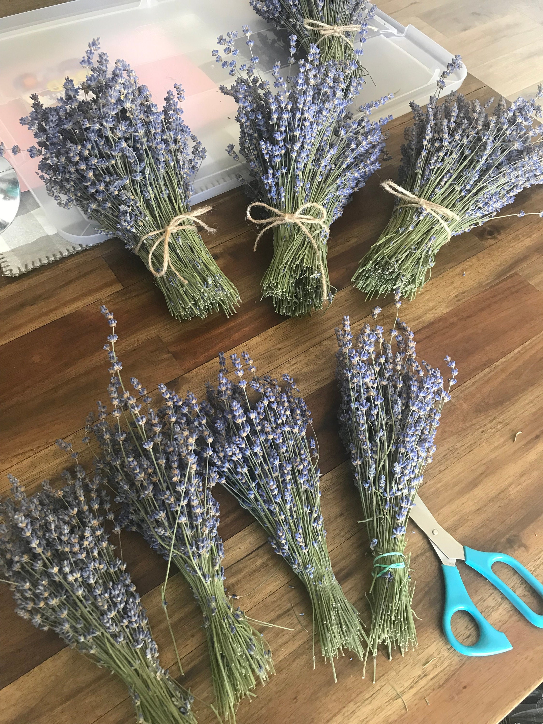 Dried Lavender Bundle - Etsy