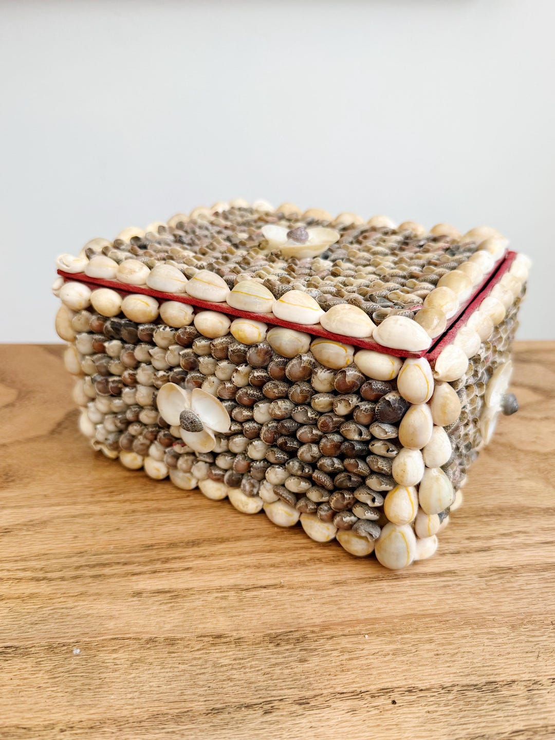 Vintage Large Shell Shellwork Jewellery Box - Etsy