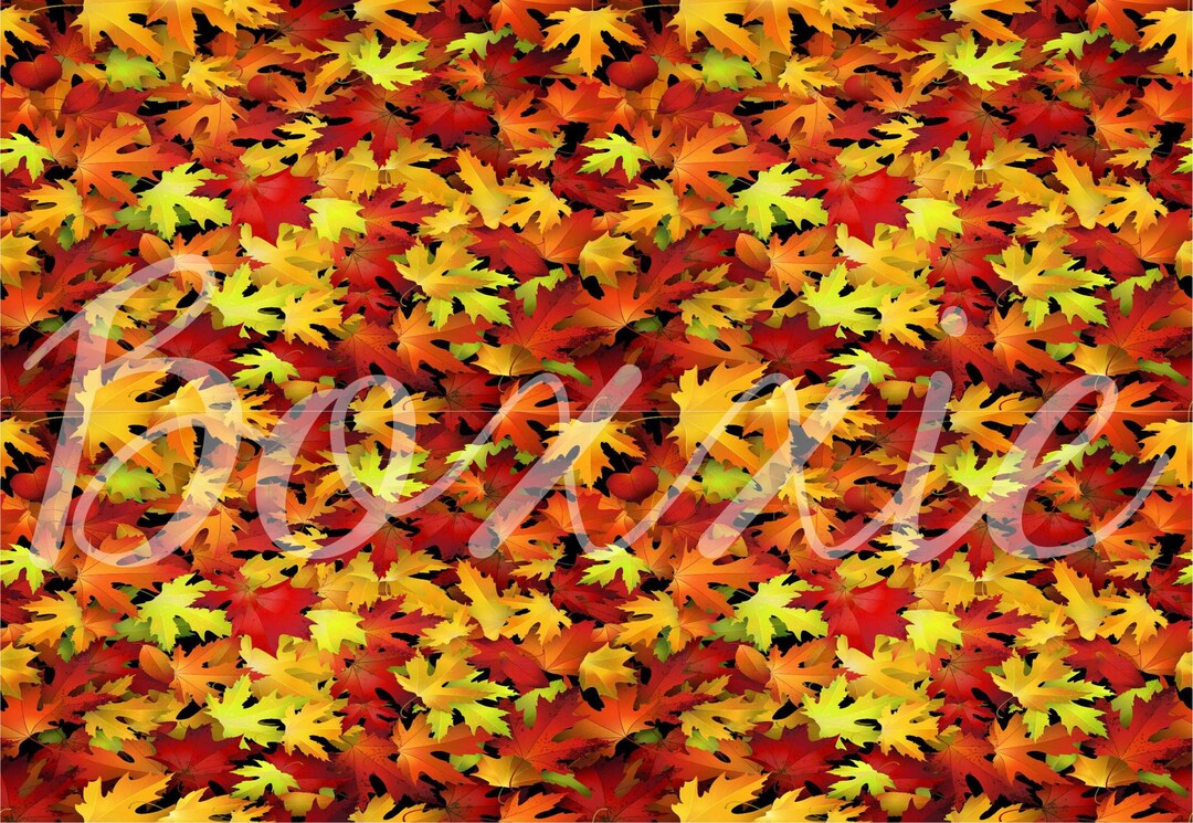 Autumn Leaves Wrapping Paper Sheets Gift Wrap Fall Color GW5050 - Etsy