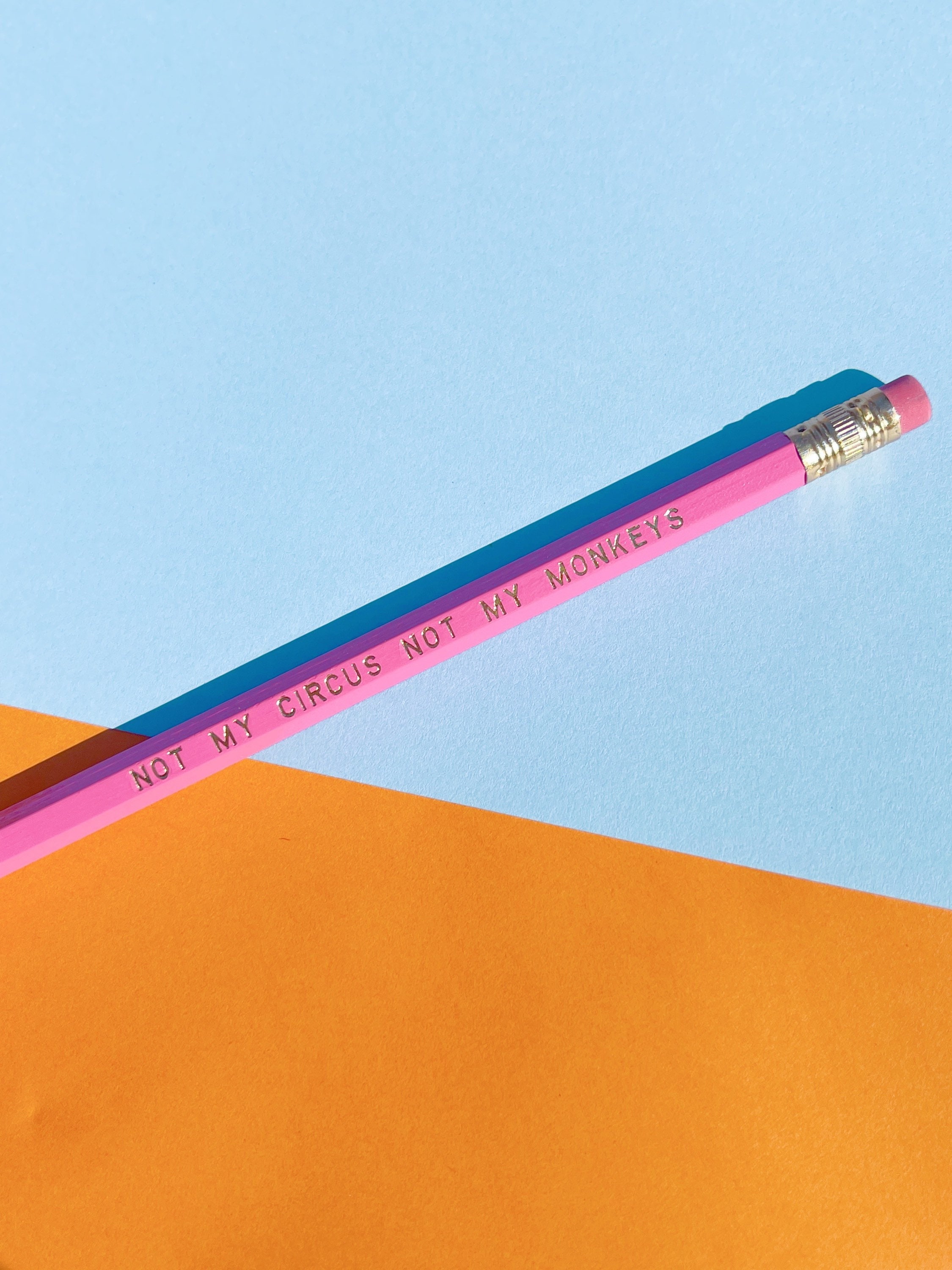 Monkey Writing With Pencil