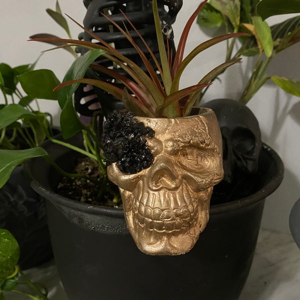 Skeleton Planter - Etsy