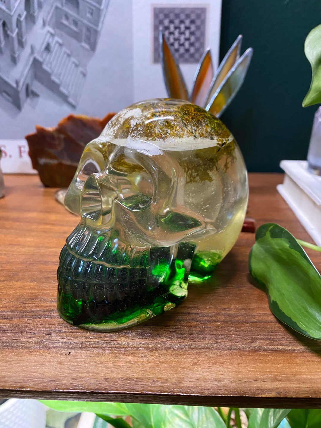 Clear Skull Resin Skull Swamp Skull Moss Brain - Etsy
