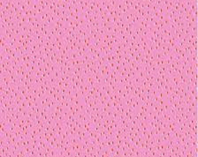 Strawberry and Friends by Kimberly Kight for Ruby Star Society -- Fat ...